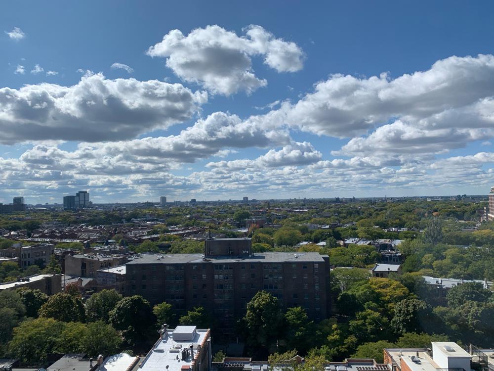 Availabilities | Webster House Apartments